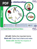 Daintree Rainforest Food Web Overview | PDF