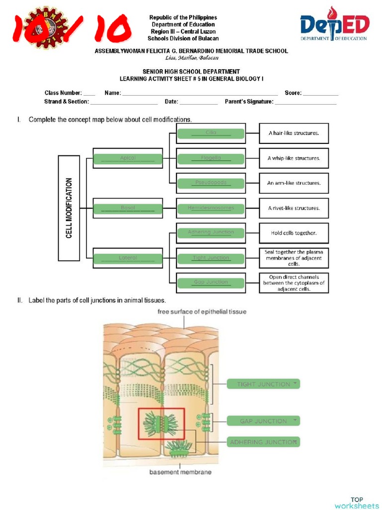 Module 5 - Cell Modification | PDF