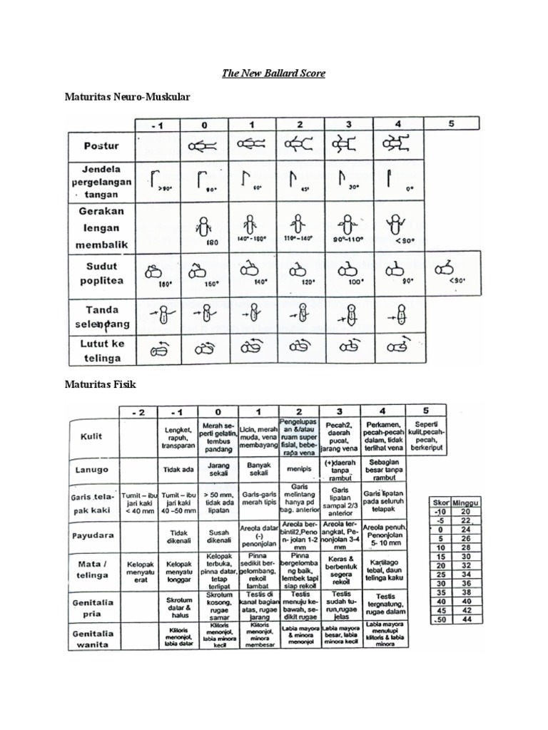 The New Ballard Score | PDF