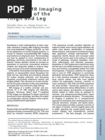 Lower Limb MRI Protocols and Anatomy | PDF | Foot | Human Leg