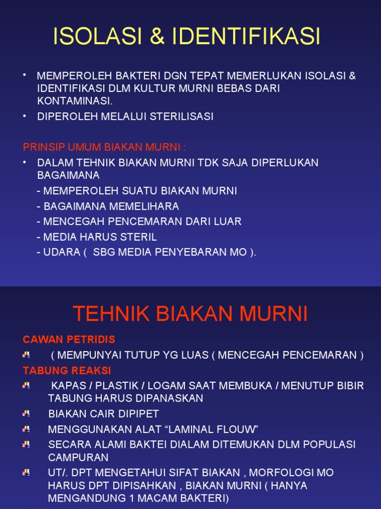 Metode Isolasi dan Identifikasi Bakteri | PDF
