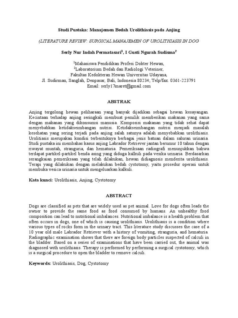 Studi Pustaka Serly (Cystotomy) Revisi | PDF