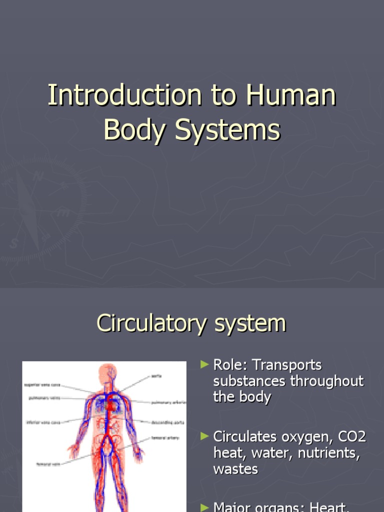Introduction To Human Body Systems | PDF
