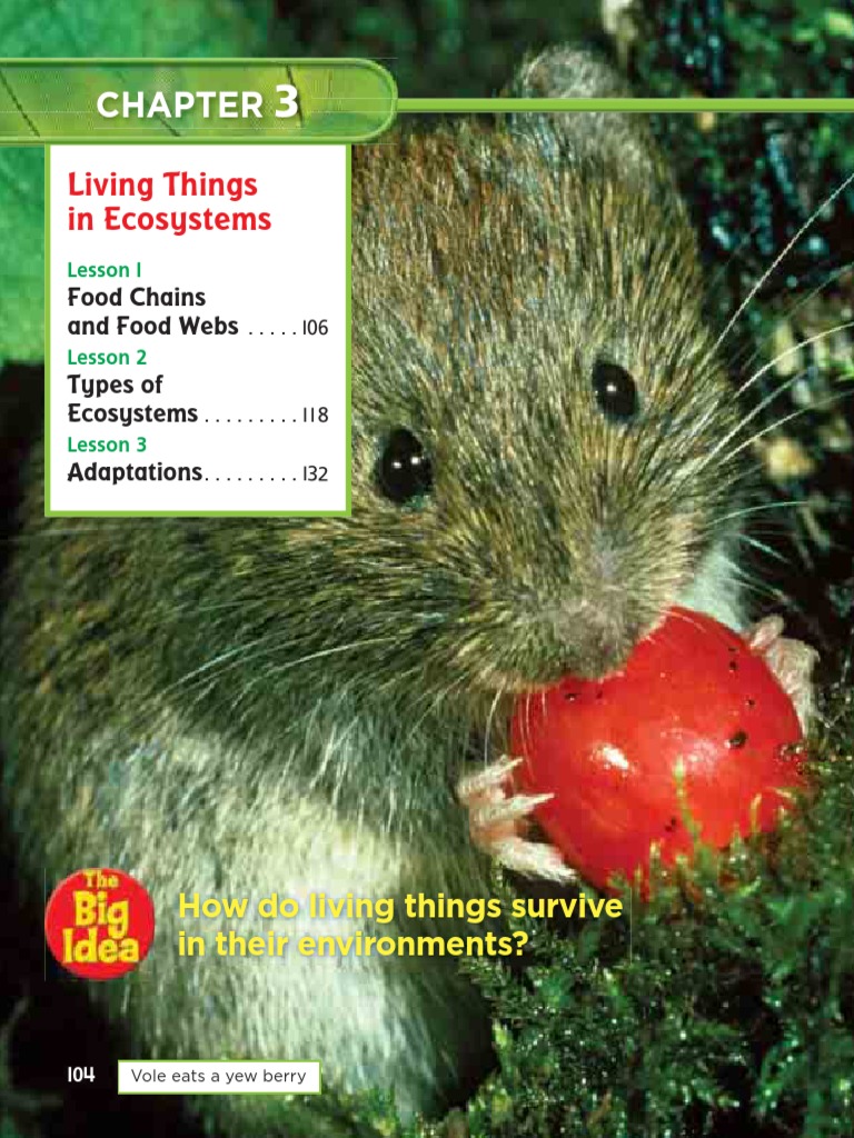 Living Things in Ecosystems | PDF | Rainforest | Desert