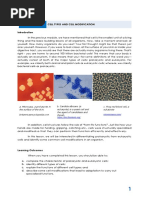 SHS STEM Bio1 Q1 Week 3 Module 5 - Cell Modification | PDF | Small ...