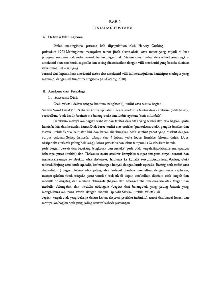 Bab 2 Tinjauan Pustaka | PDF