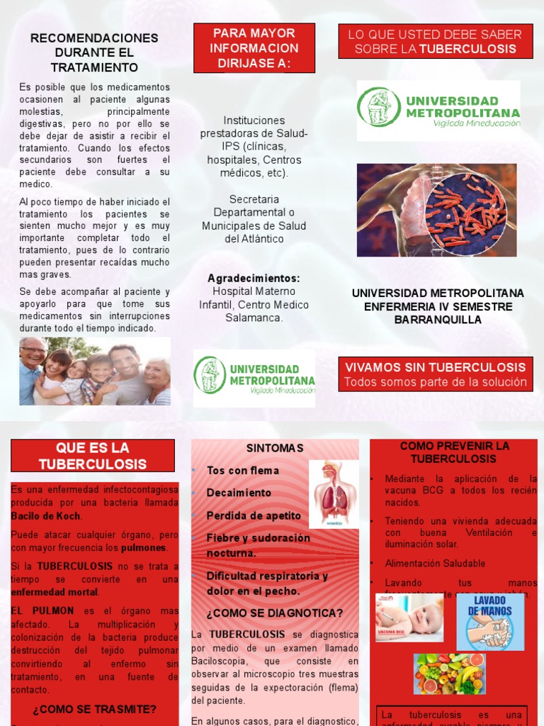 Folleto Tuberculosis | PDF | Tuberculosis | Cuidado de la salud
