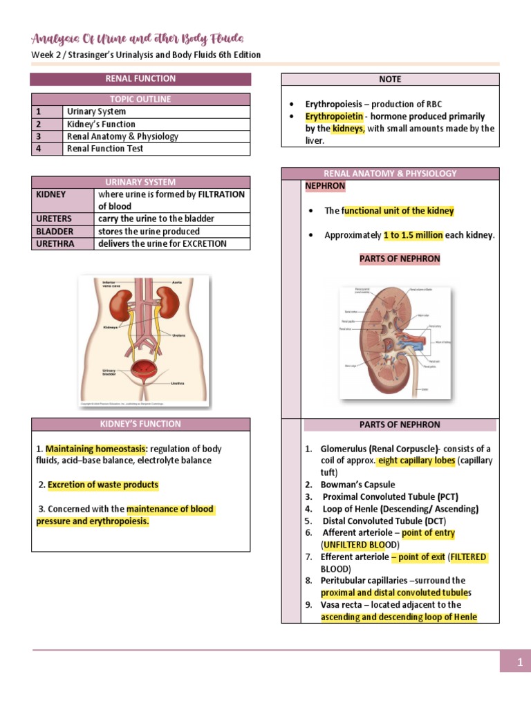 Analysis of Urine and Other Body Fluids: Renal Function Topic Outline ...