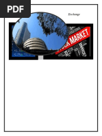 Stock Exchange Project (Class 12) | PDF