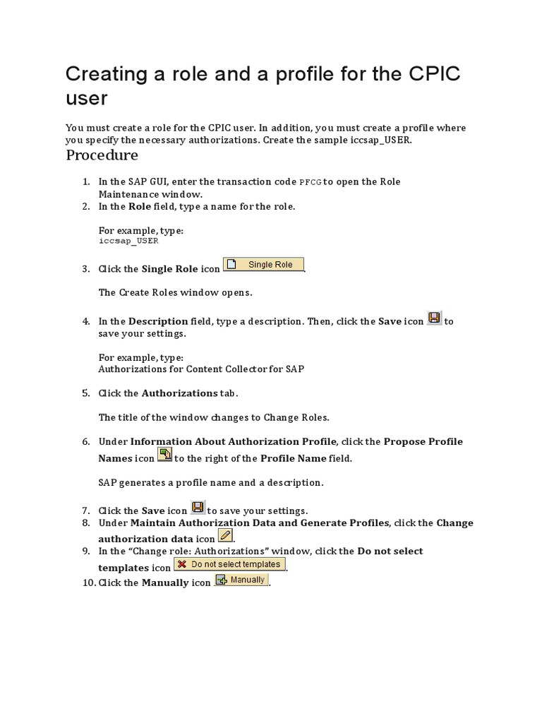 Creating A Role and A Profile For The CPIC User | PDF