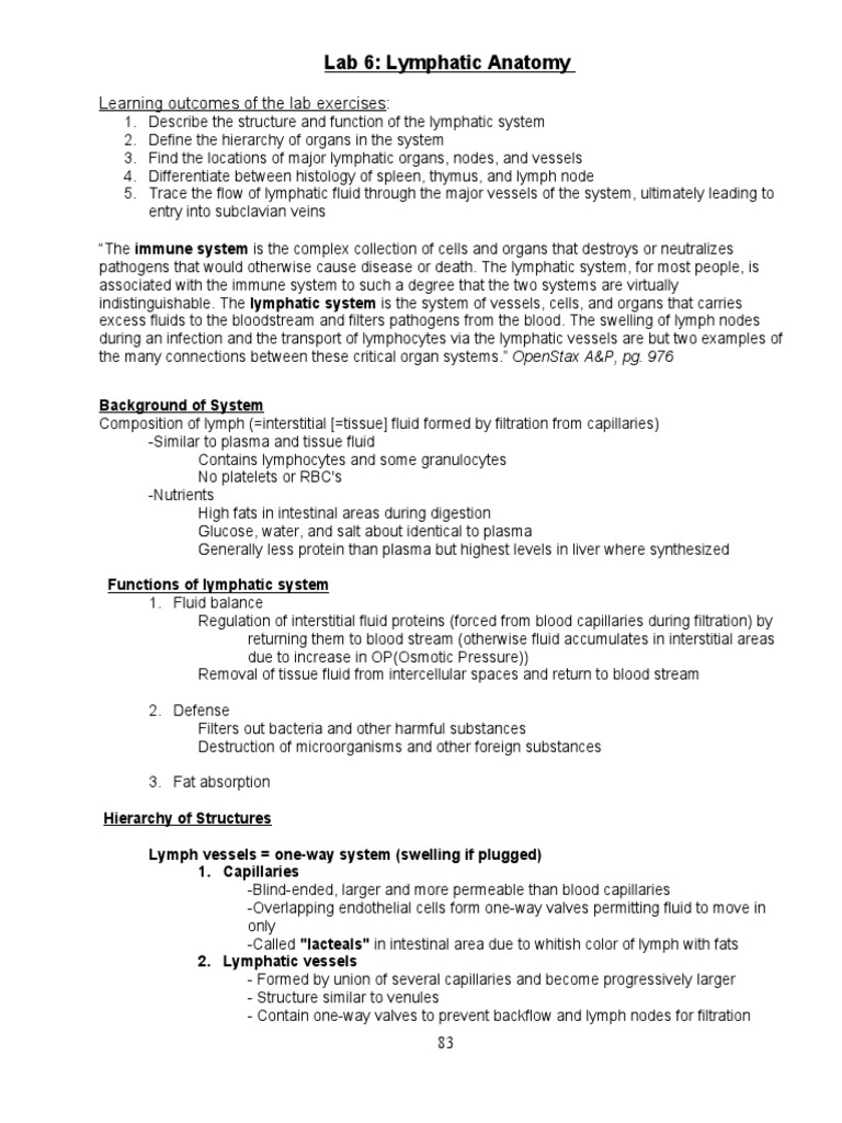 Lab 6: Lymphatic Anatomy: Learning Outcomes of The Lab Exercises | PDF ...