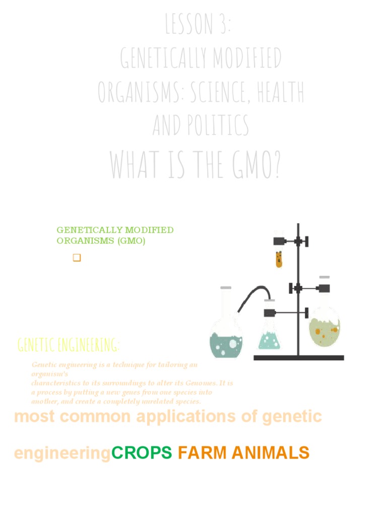 STS PPT Group 3 | PDF | Genetically Modified Organism | Genetic Engineering