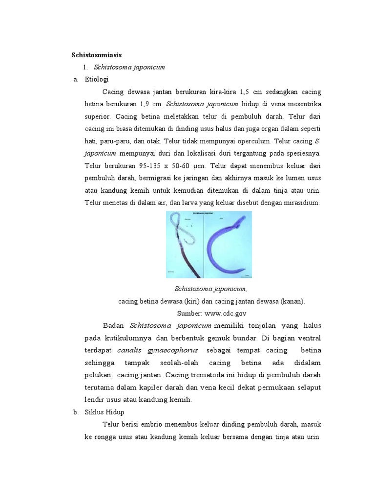 Panduan Lengkap Schistosomiasis dan Cacing | PDF | Sains & Matematika