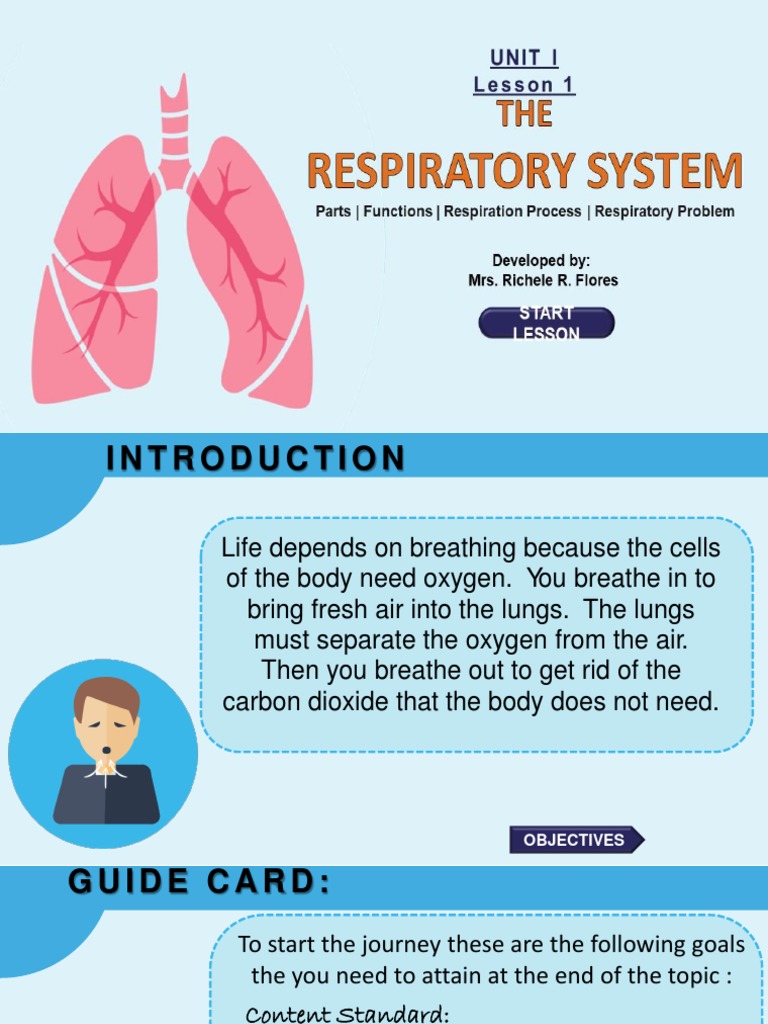 The Respiratory System | PDF | Respiratory System | Breathing