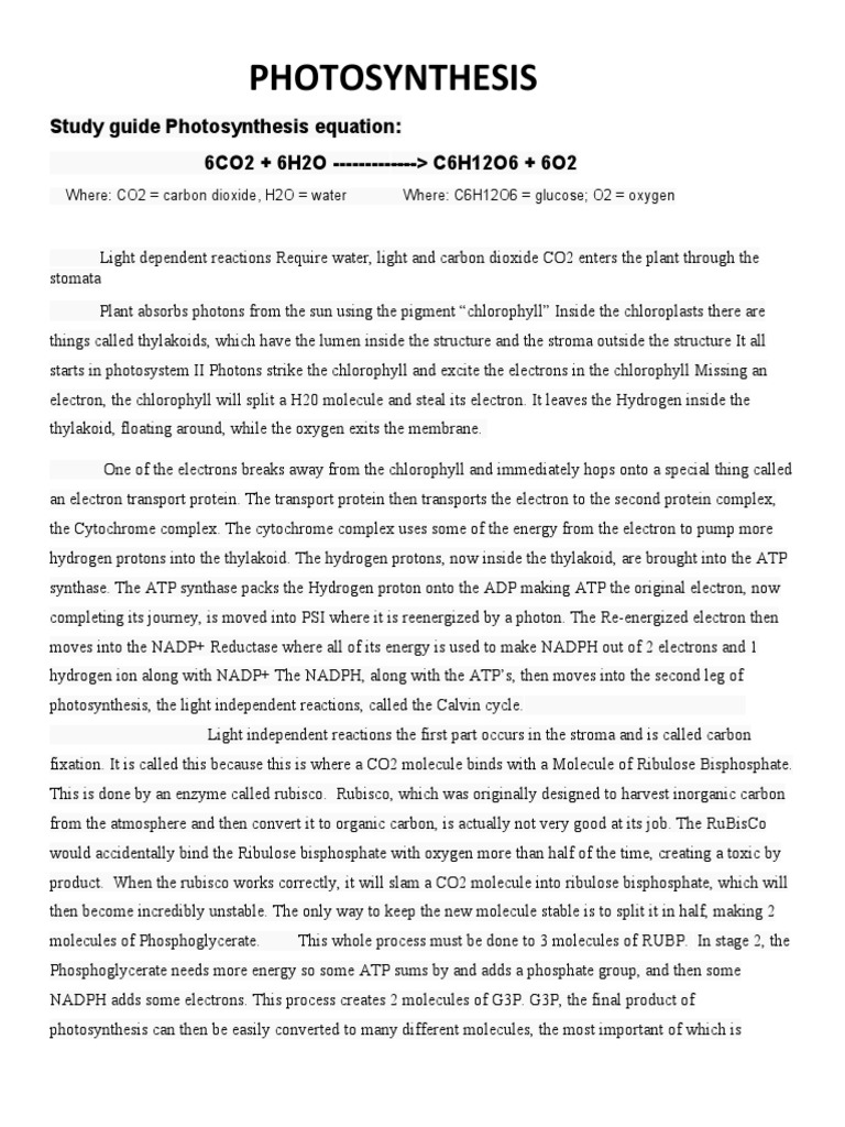Photosynthesis: Study Guide Photosynthesis Equation: 6CO2 + 6H2O ...