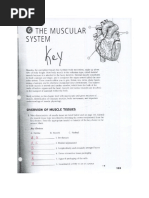 Exercise 2 Organ System Overview: BSN-1C | PDF | Human Body | Lymphatic ...