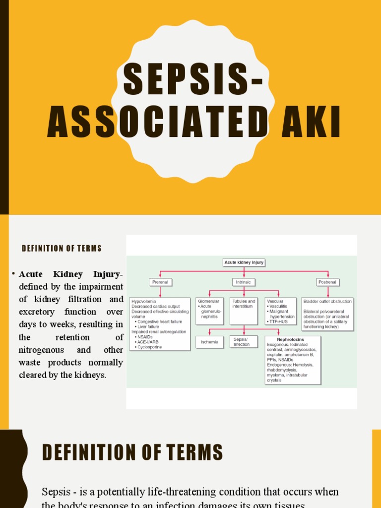 Aki Secondary To Sepsis | PDF