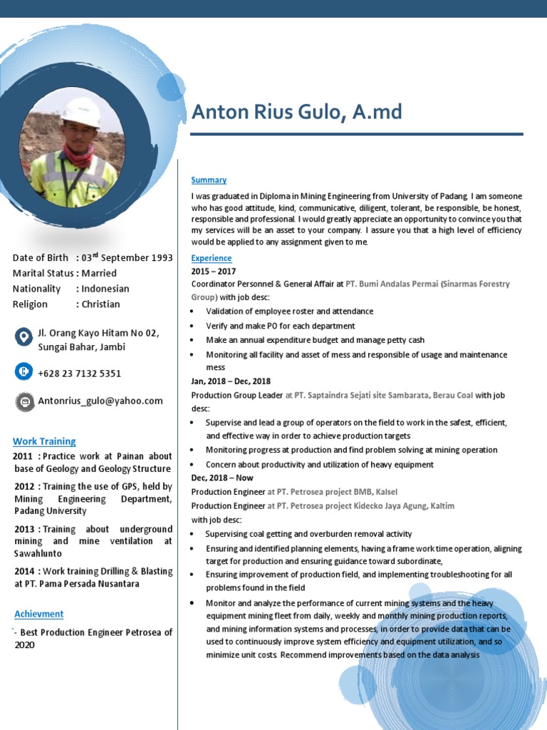 CV Anton Rius Gulo | PDF | Mining | Business