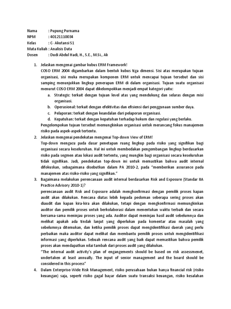 Audit Internal 3 Pupung Purnama | PDF | Bisnis