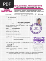 BRAC Work Experience | PDF