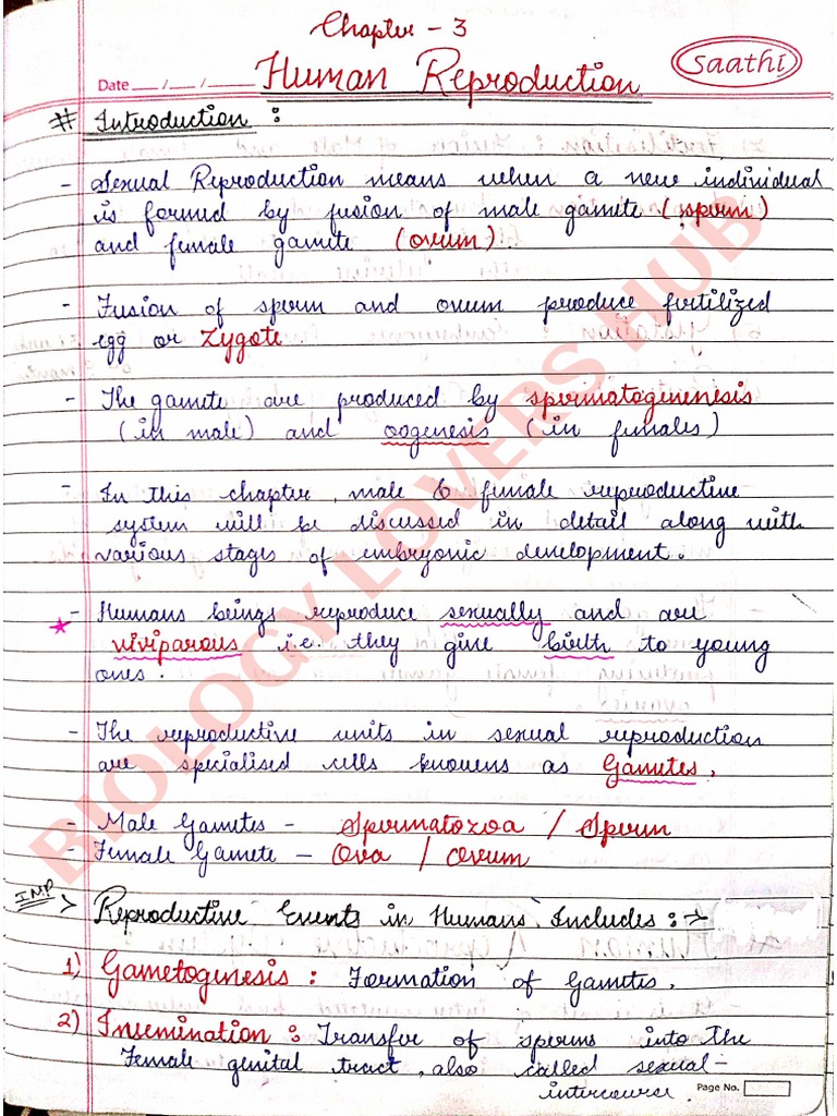 Class 12 Human Reproduction HANDWRITTEN NOTES | PDF