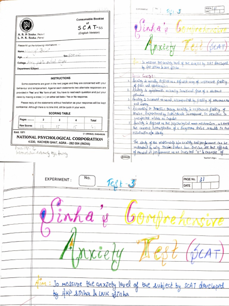 Cbse Class 12 Psychology Practical Test 3 (Scat) | PDF