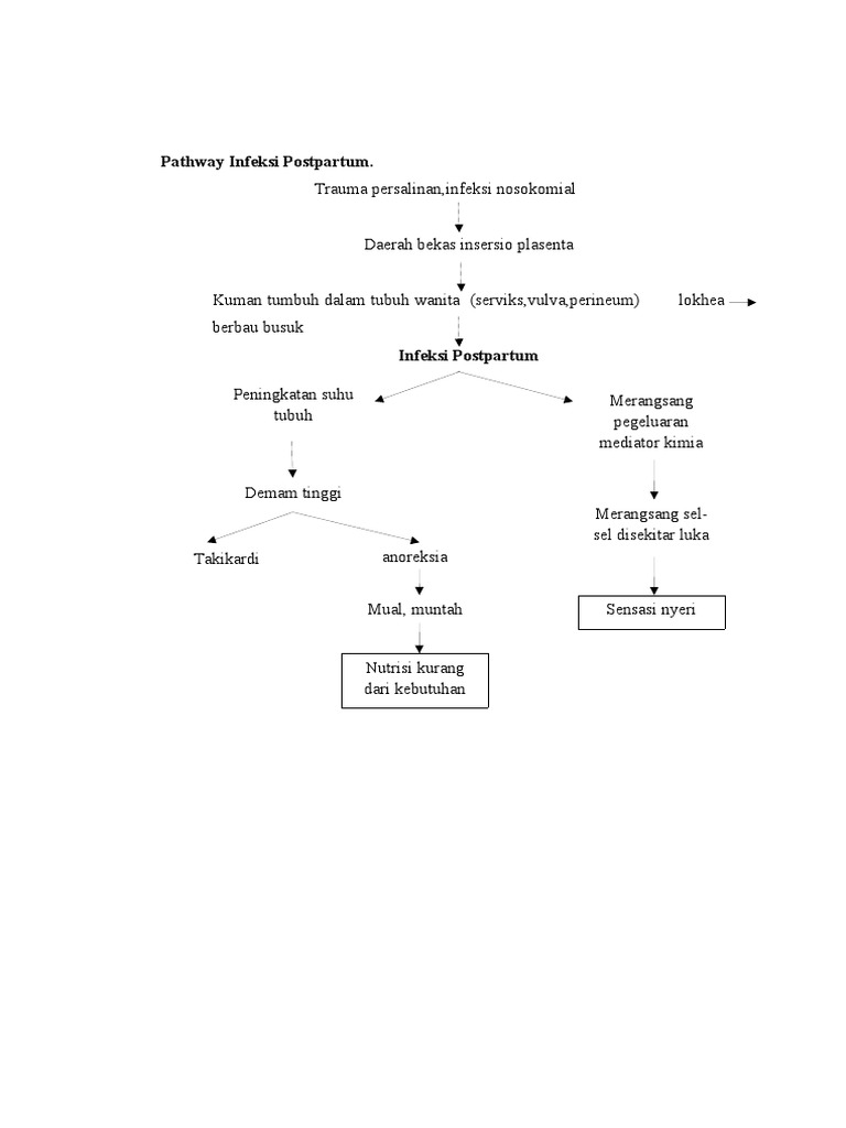 Infeksi Postpartum dan Gejalanya | PDF