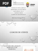 Triptico Cancer Infantil 2019 Nvo. | PDF | Cáncer | Cuidado de la salud