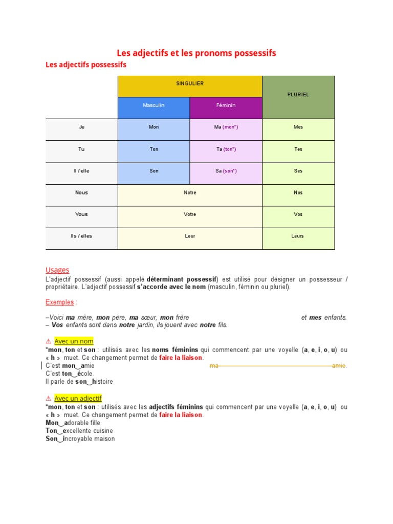 5 Les Adjectifs Et Les Pronoms Possessifs | PDF | Genre grammatical ...