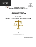 Chapitre 1 Cours Etude D Impact Sur L Environnement Eme | PDF | Environnement naturel | Étude d ...