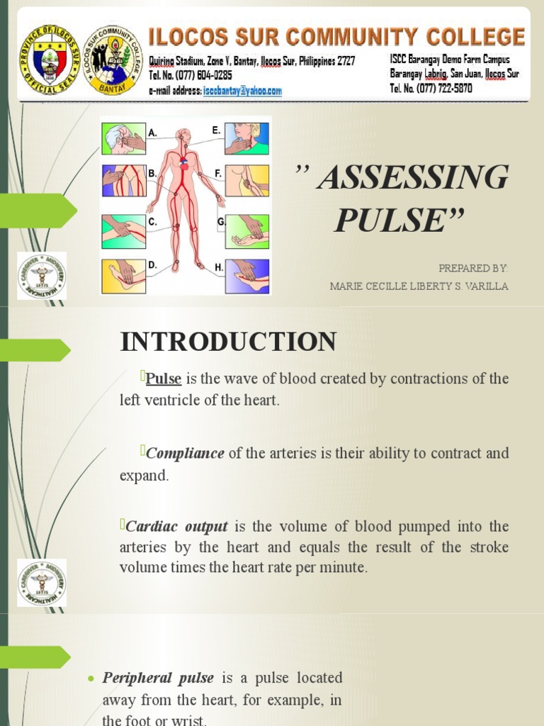 Assessing Pulse | PDF | Pulse | Heart
