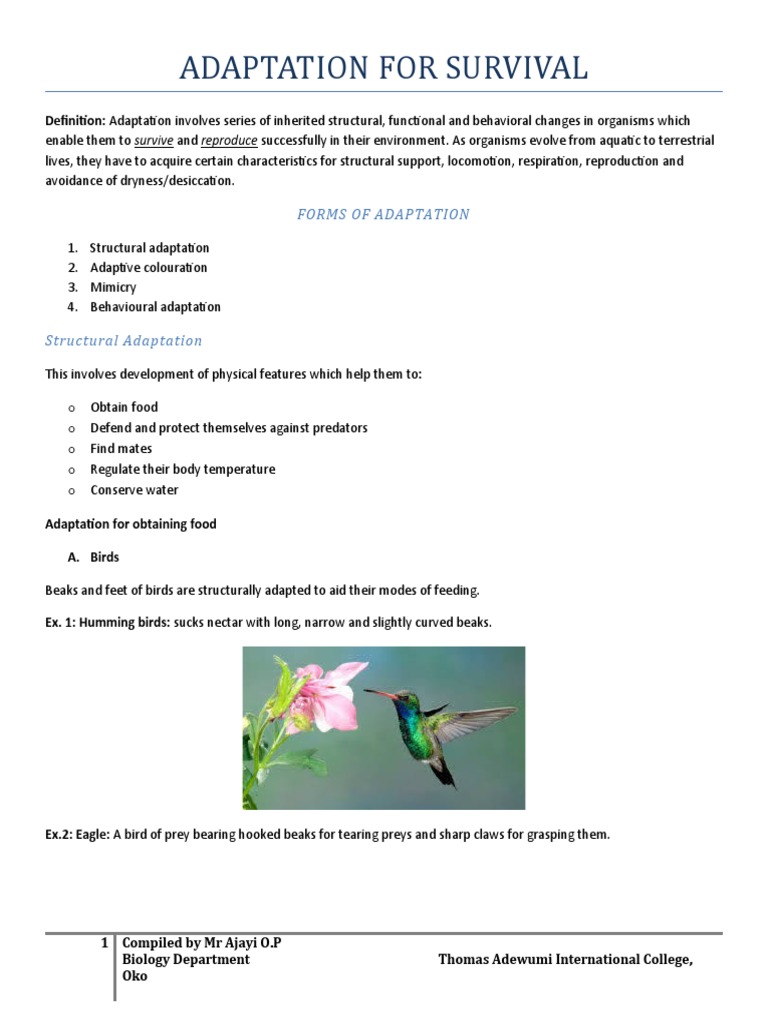 Adaptation For Survival | PDF | Predation | Mimicry
