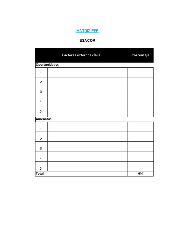 Matriz Efe Efi | PDF