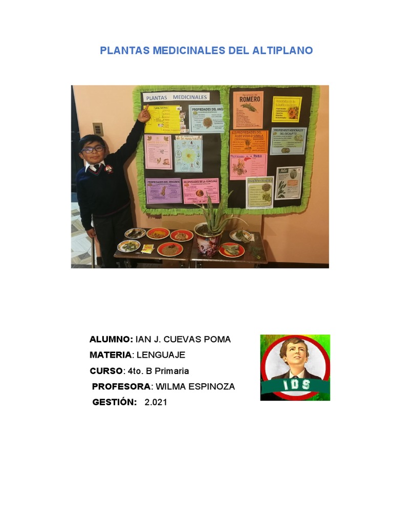 Informe Plantas Medicinales Tradicionales | PDF | Plantas medicinales ...