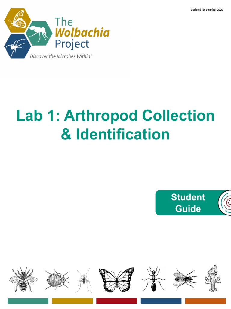 Lab 1: Arthropod Collection & Identification: Student Guide | PDF ...