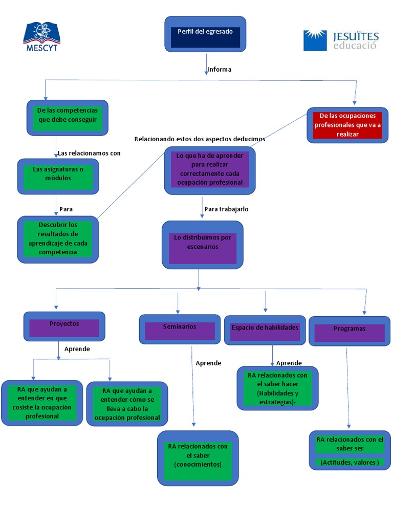 Esquema de Curriculum Competencial | PDF