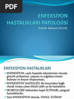Tatarcik | PDF