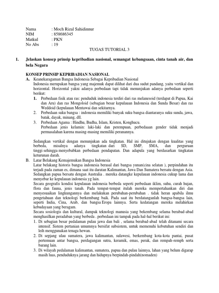 19 - Moch Rizal Sahidinnur - 858686345 - TT3 - PKN | PDF