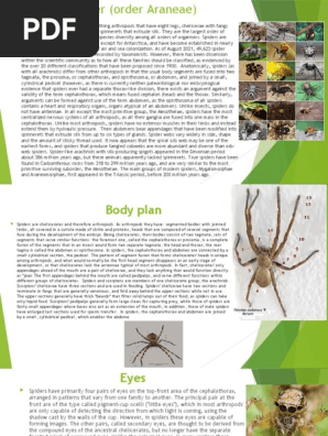 Arachnids Examples