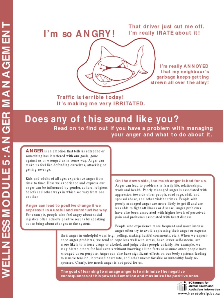 Wellness - Anger Management | PDF | Anger | Aggression