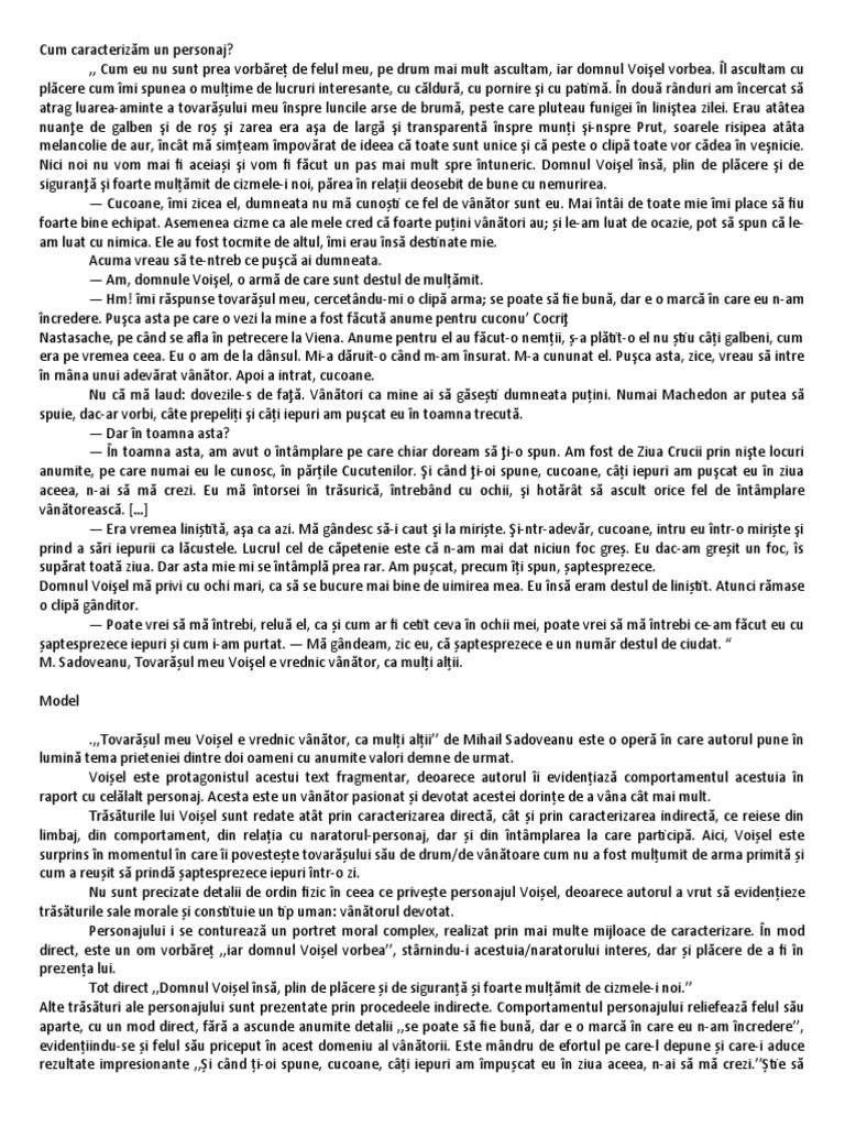 Caracterizare Model | PDF