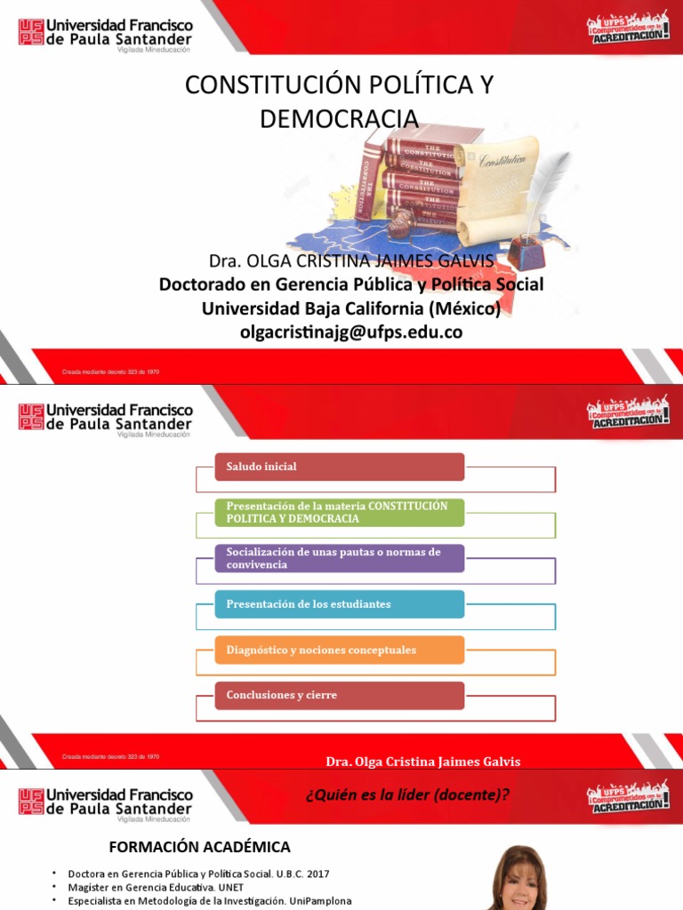 Constitucion Y Democracia Pdf Constitución Estado Política