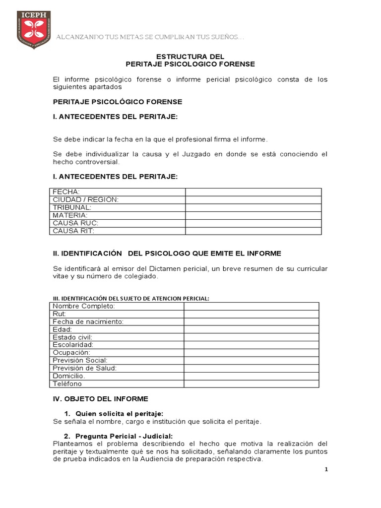 Estructura Peritaje | PDF | Sicología | Experto