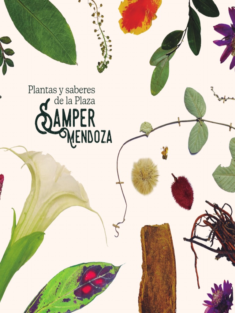 Plantas y Saberes Plaza Samper Mendoza Pliegos | PDF | Bogotá | Mercado ...