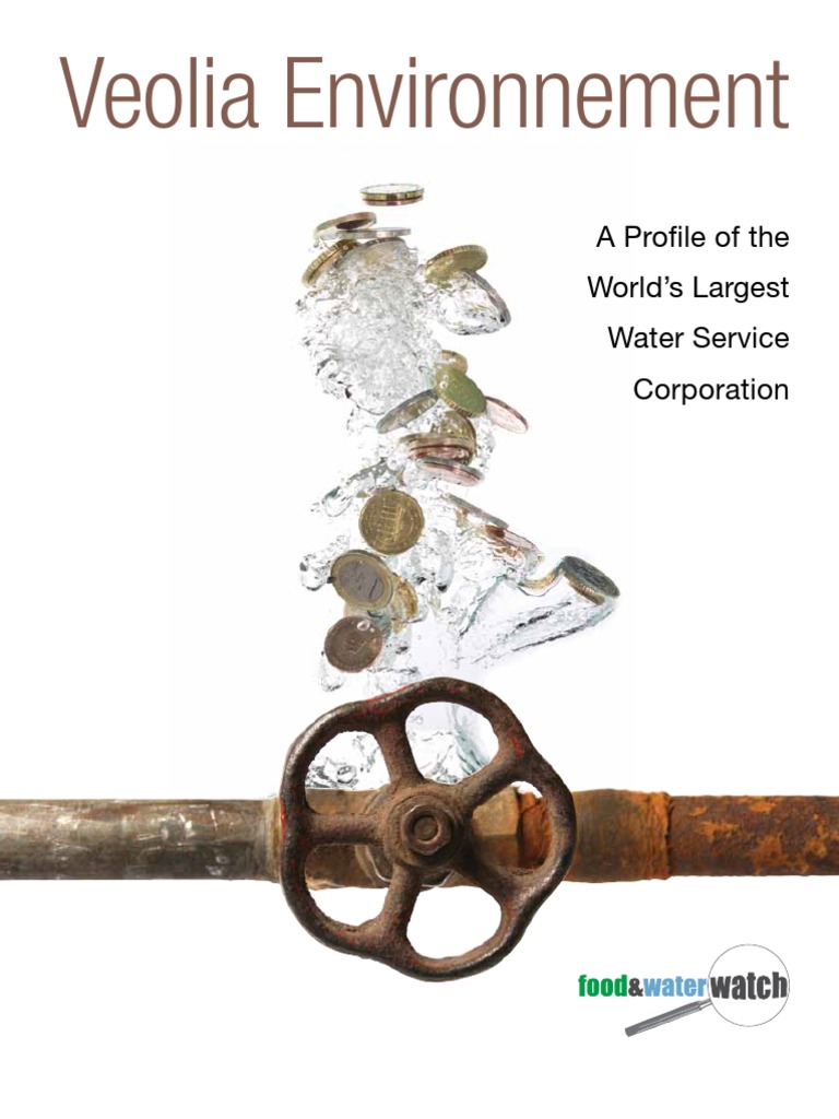 Veolia Environnement: A Profile of The World's Largest Water Service ...