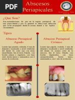 Canino Temporal Superior | PDF | Anatomia dental | Diente