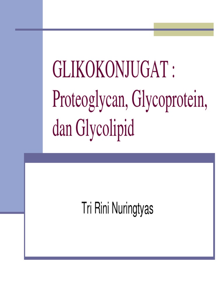 Proteoglikan dan Glikokonjugat | PDF