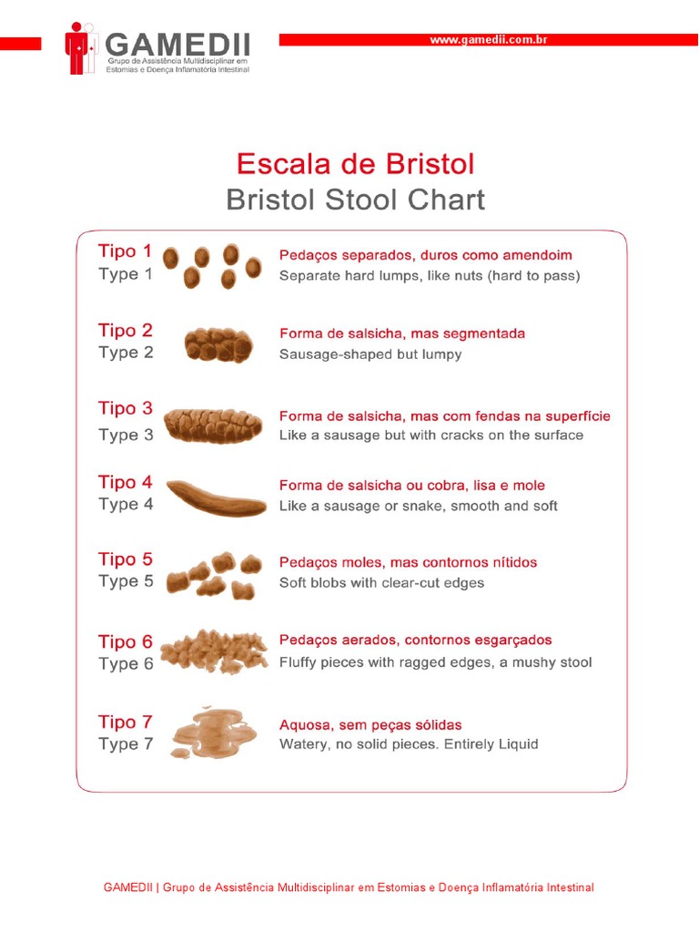 Escala de Bristol Coco | PDF
