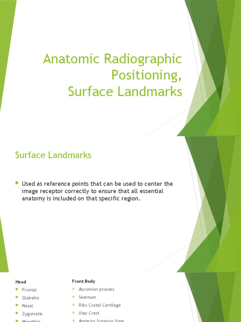 Anatomic Radiographic Positioning, Surface Landmarks | PDF