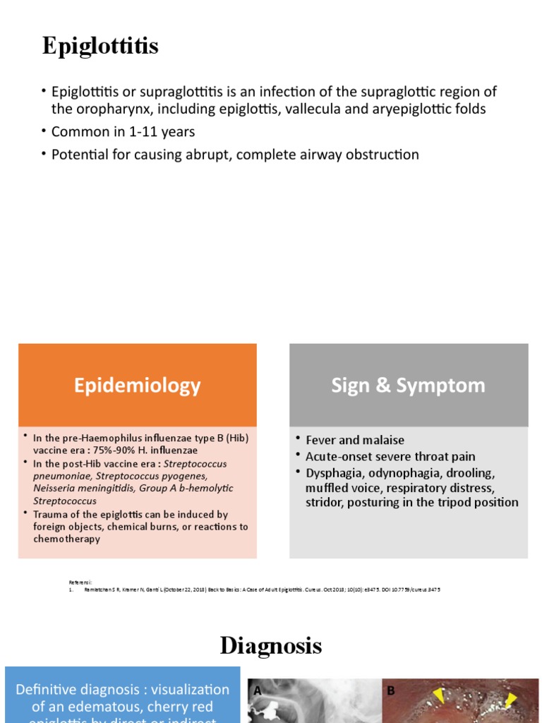 Epiglottitis and Laryngitis | PDF | Immunology | Respiratory Diseases